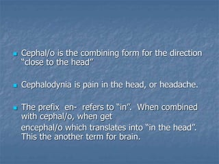 MEDL The Musculoskeletal System.ppt anatomy and physiology | PPT