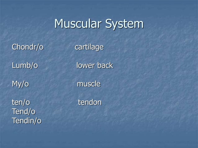 MEDL The Musculoskeletal System.ppt anatomy and physiology | PPT