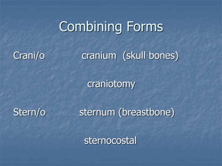 MEDL The Musculoskeletal System.ppt anatomy and physiology | PPT