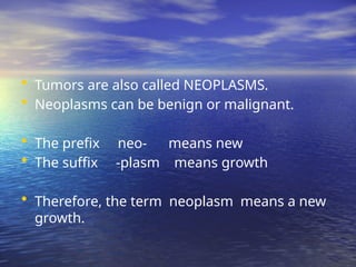 MEDL The Respiratory System medical.pptx