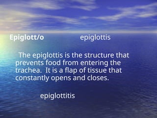 MEDL The Respiratory System medical.pptx