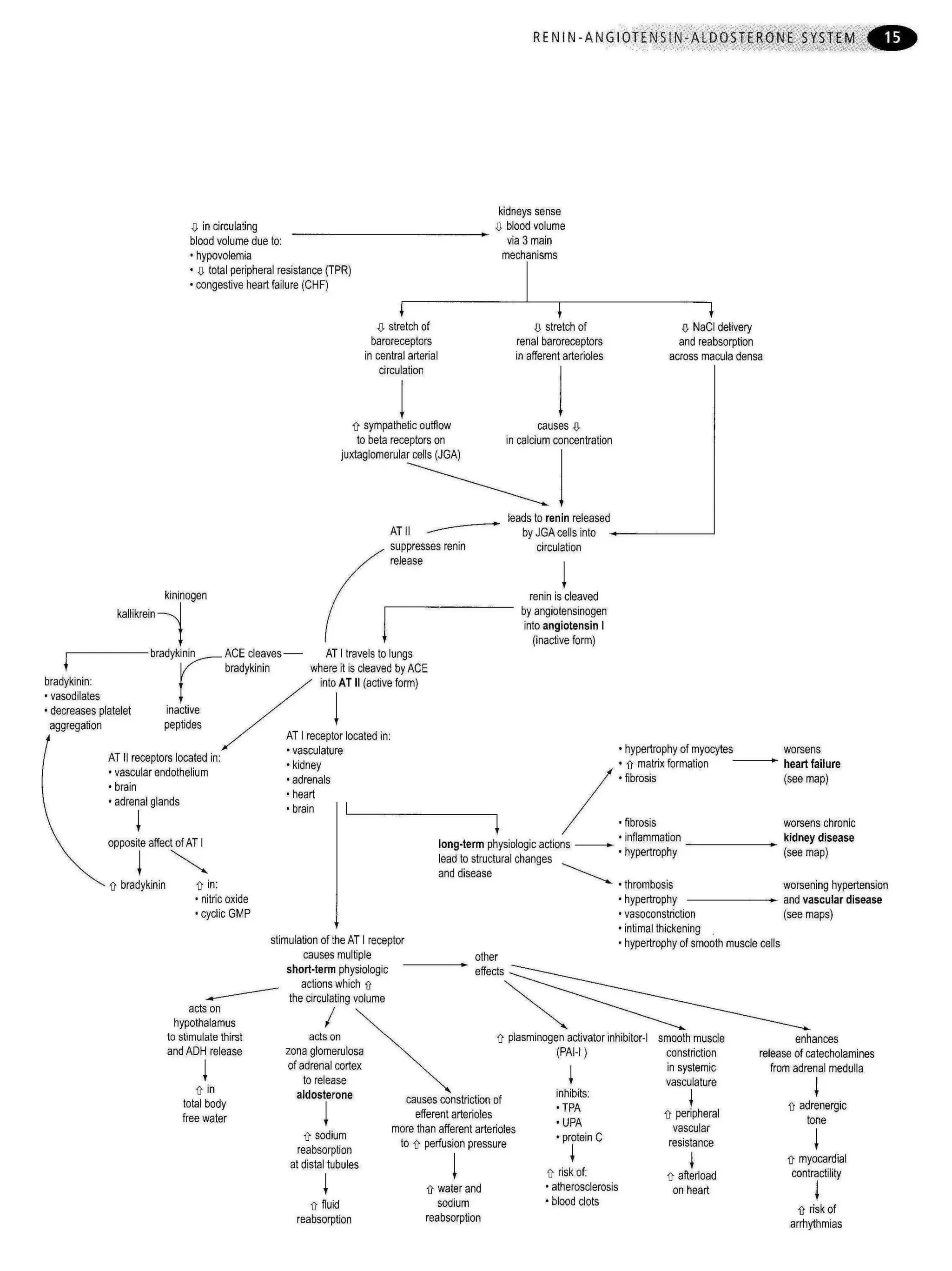 Medmaps pathophysiology | PDF