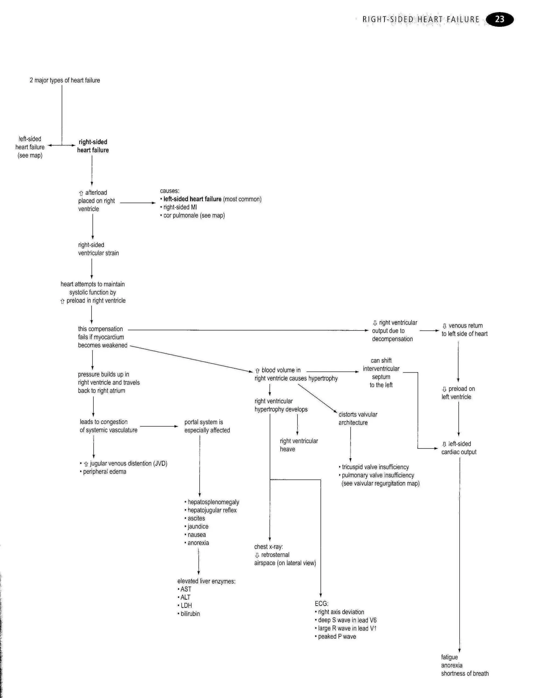 Medmaps pathophysiology | PDF