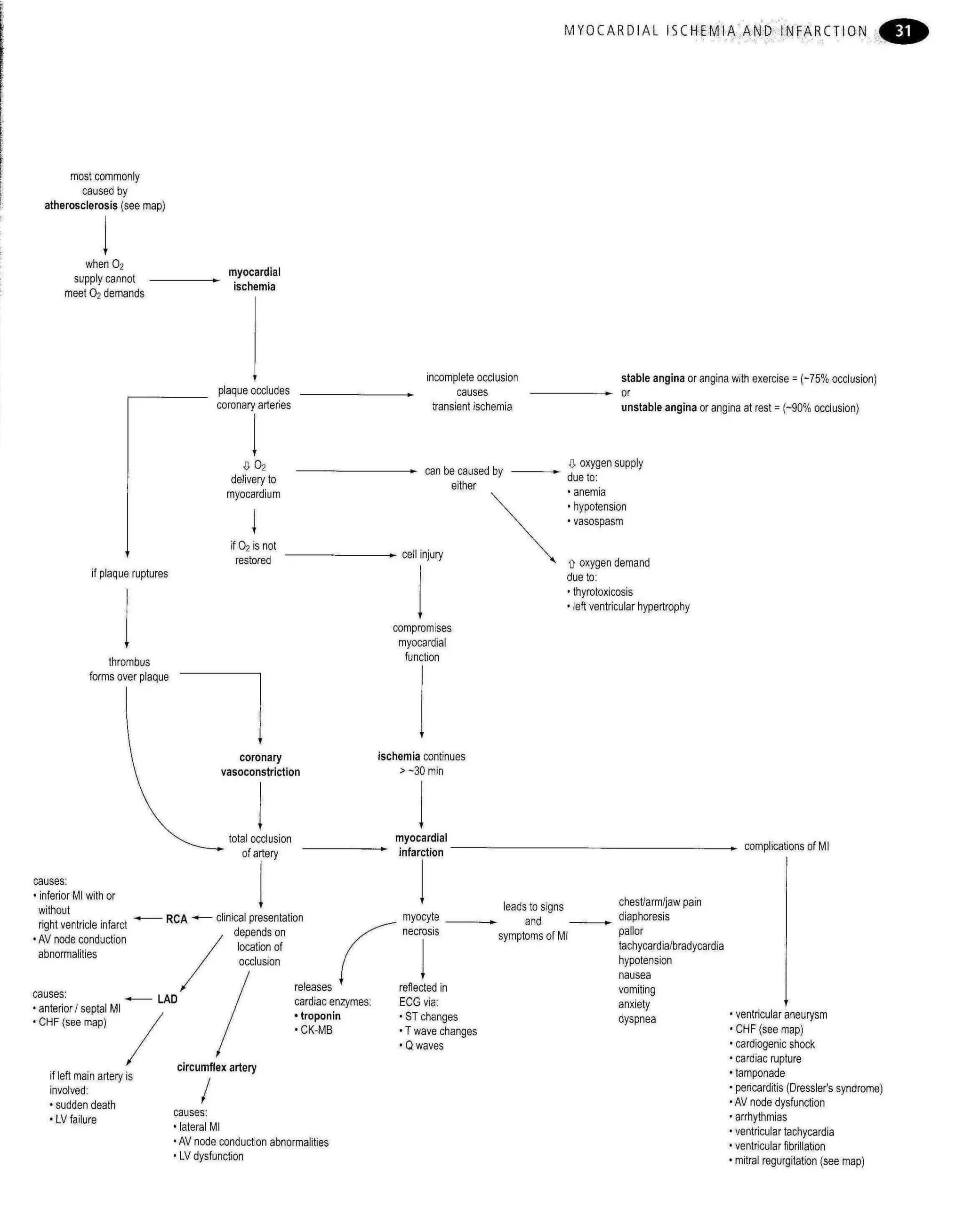 Medmaps pathophysiology | PDF
