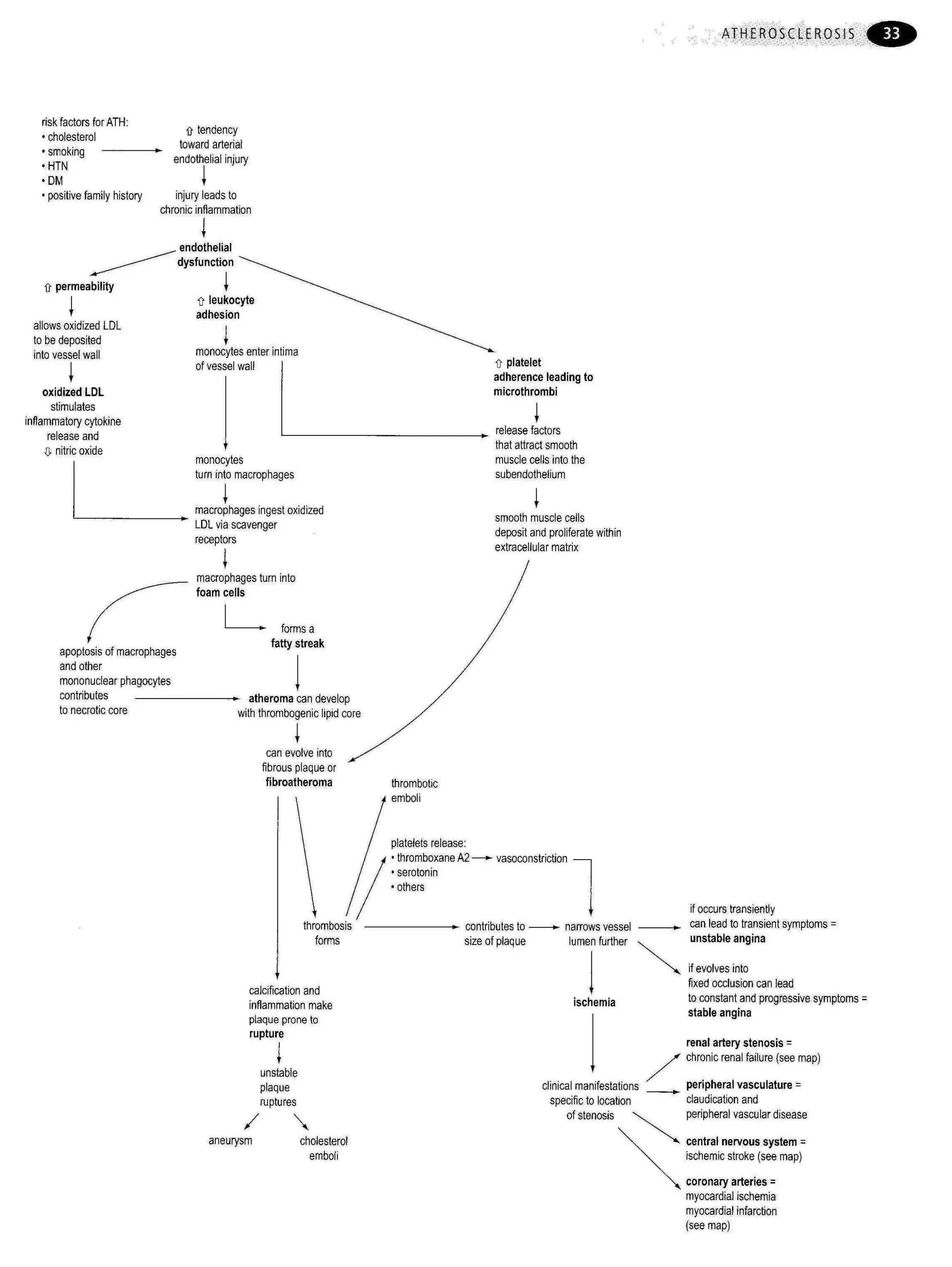 Medmaps pathophysiology | PDF