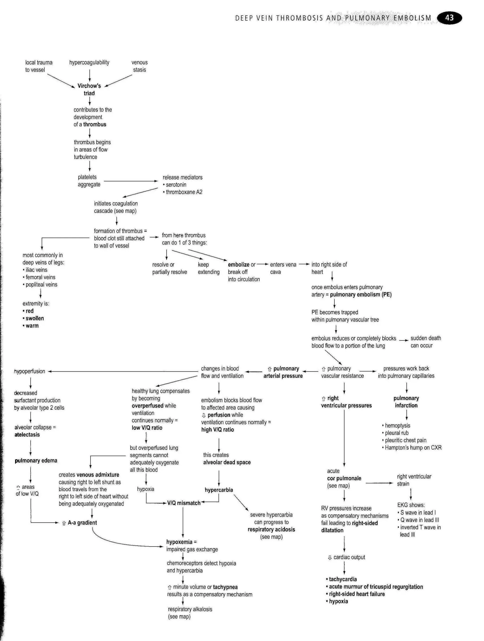 Medmaps pathophysiology | PDF