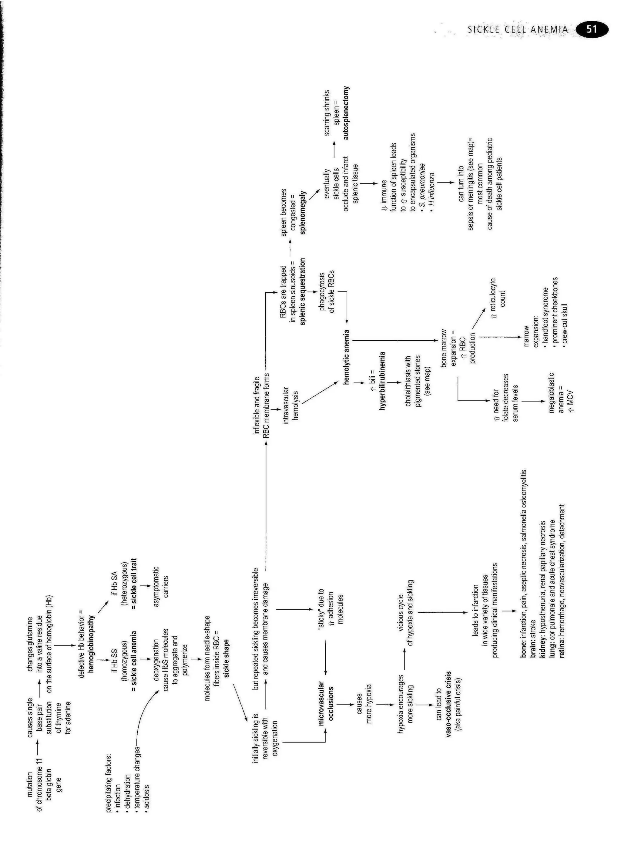 Medmaps pathophysiology | PDF