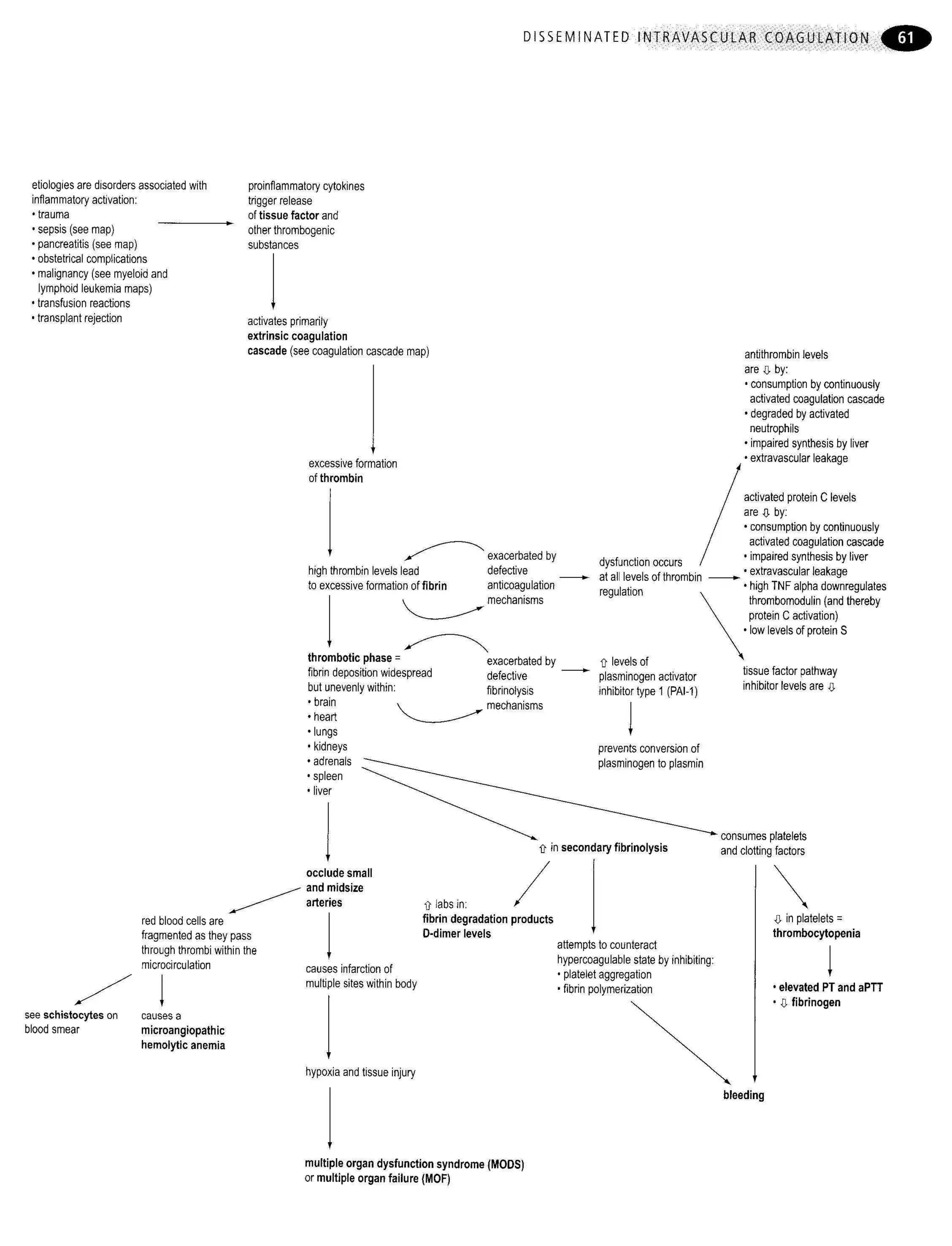 Medmaps pathophysiology | PDF