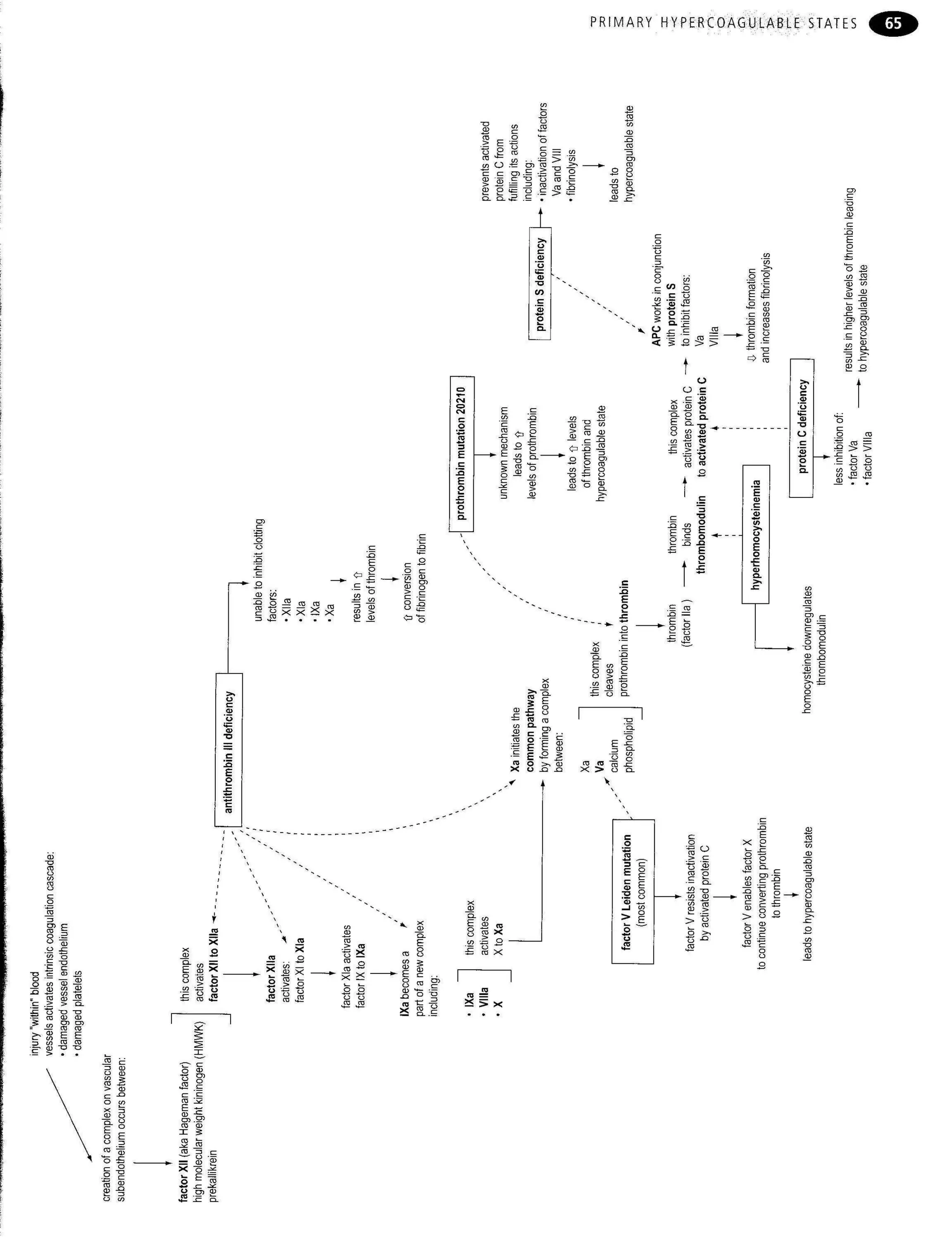 Medmaps pathophysiology | PDF