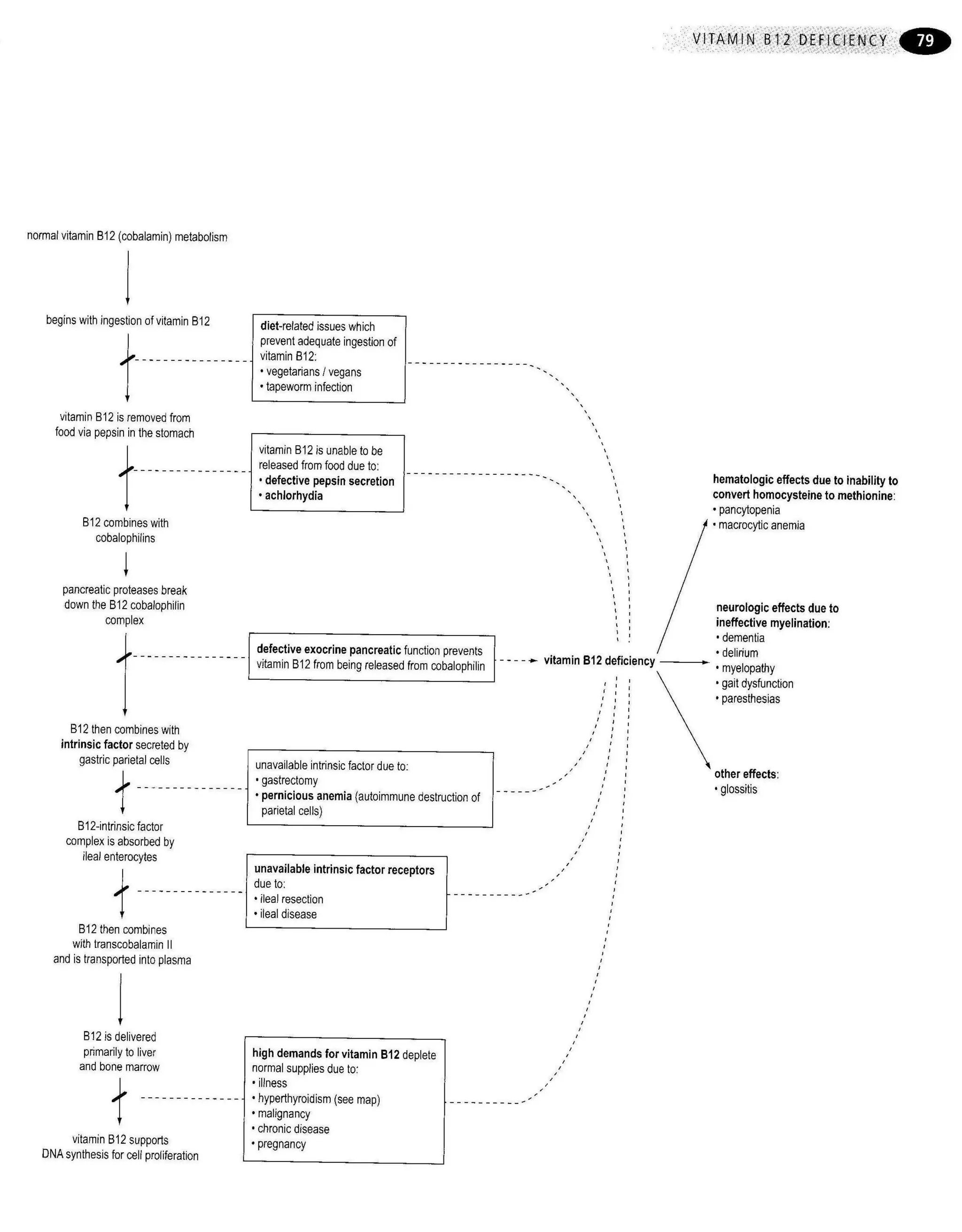 Medmaps pathophysiology | PDF
