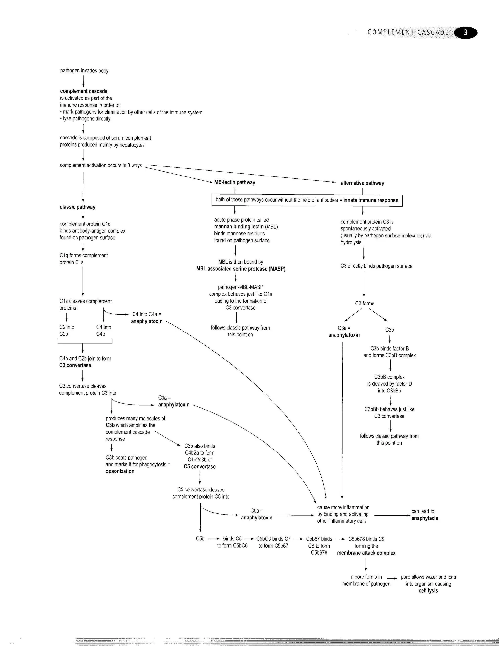 Medmaps pathophysiology | PDF