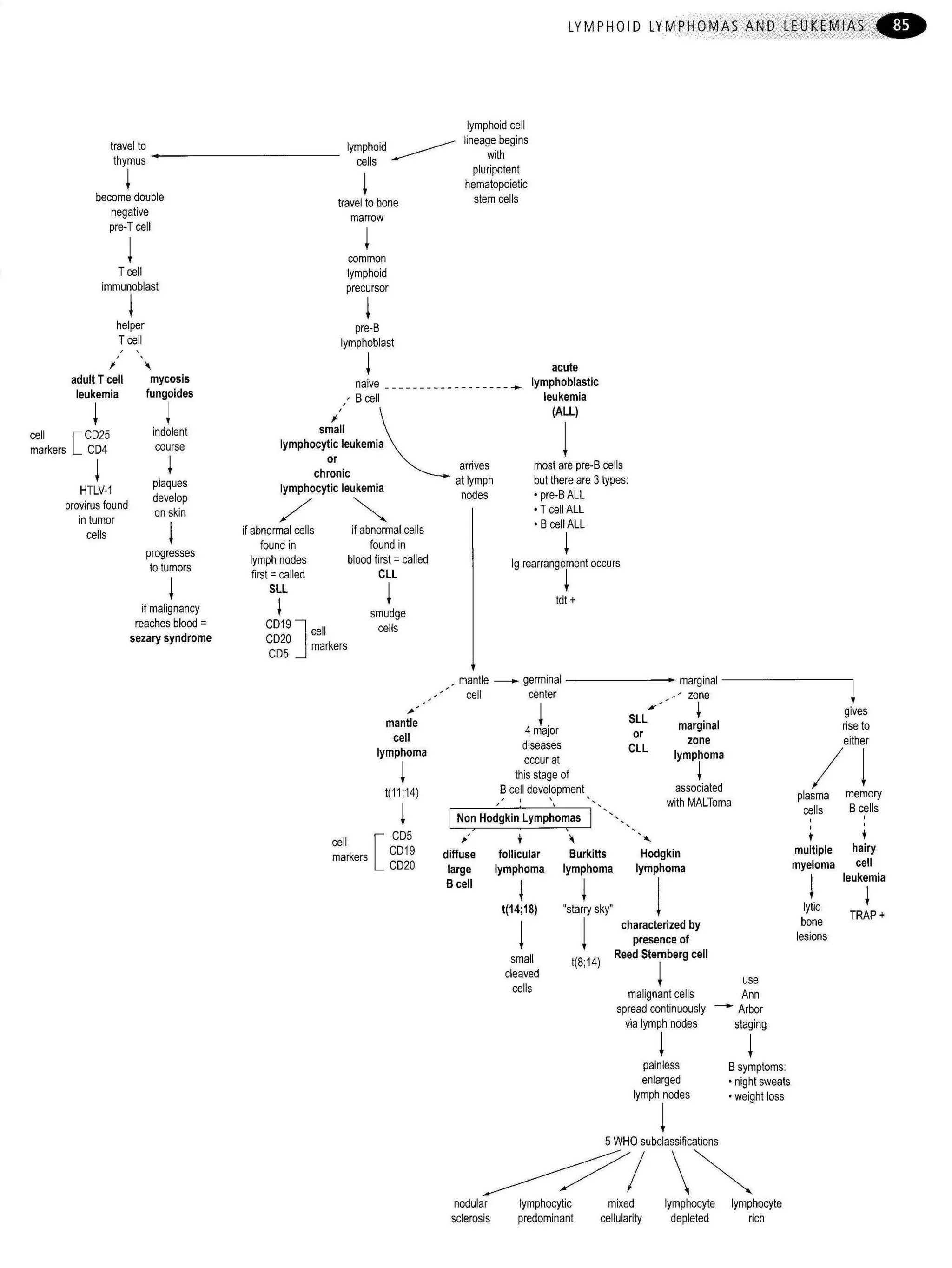 Medmaps pathophysiology | PDF
