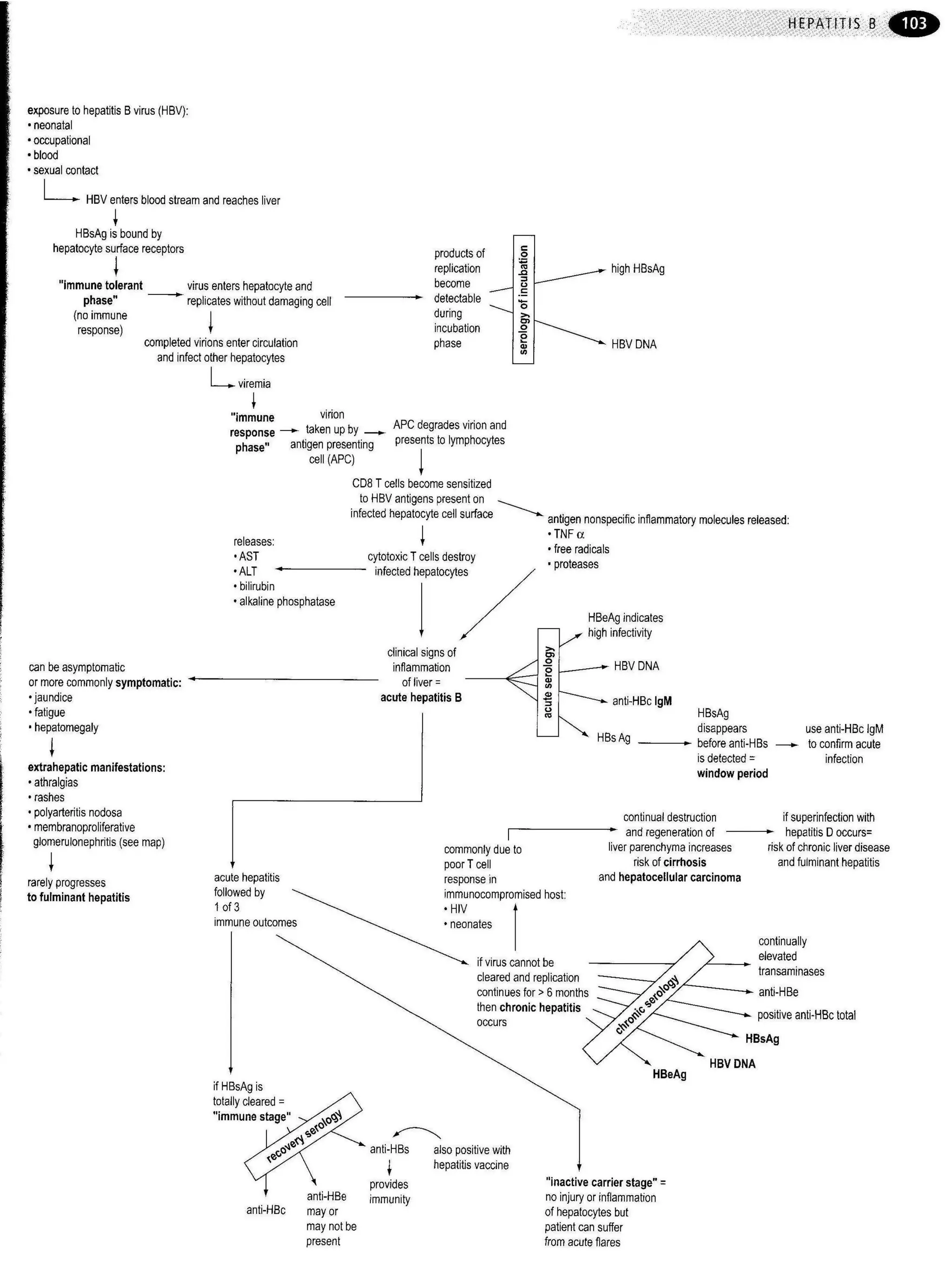 Medmaps pathophysiology | PDF