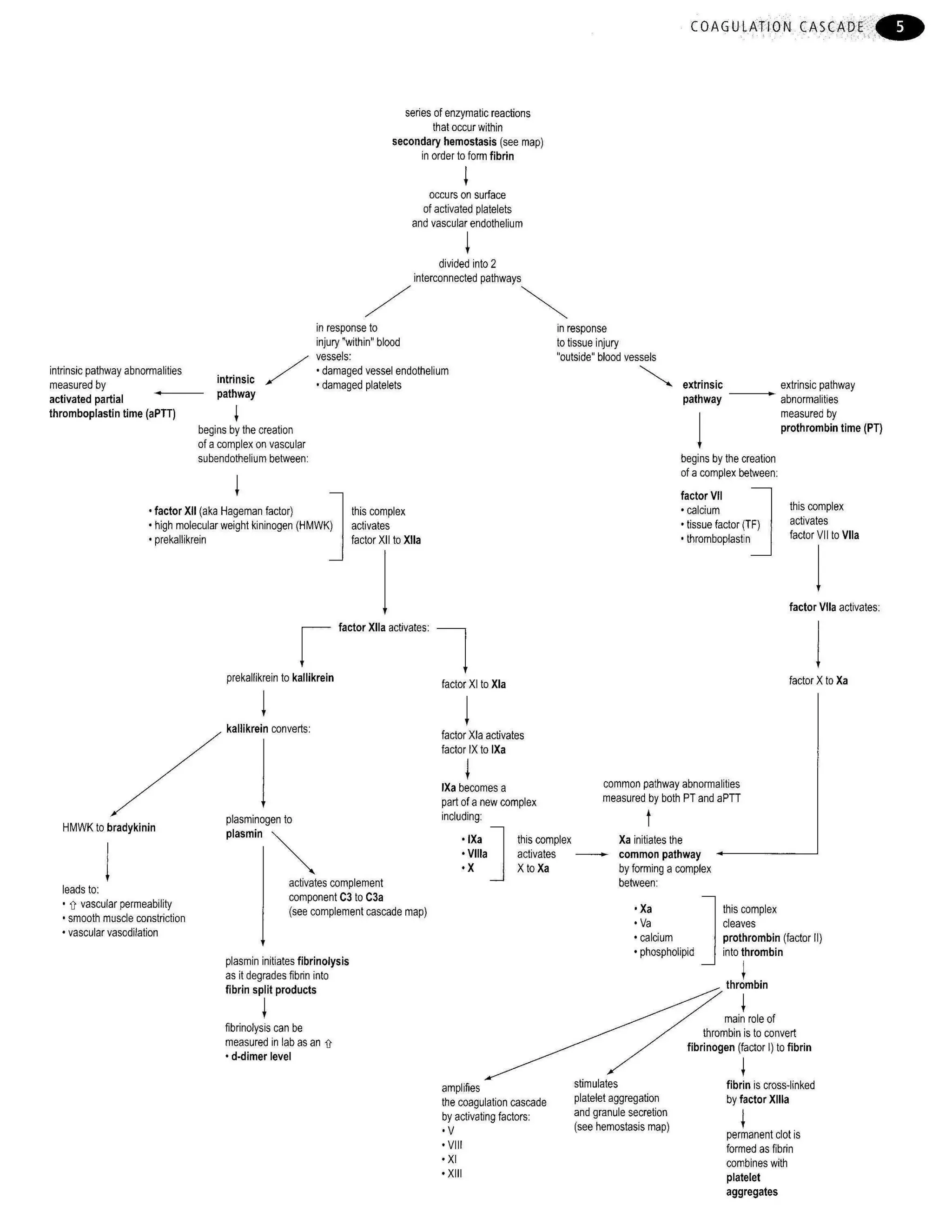Medmaps pathophysiology | PDF