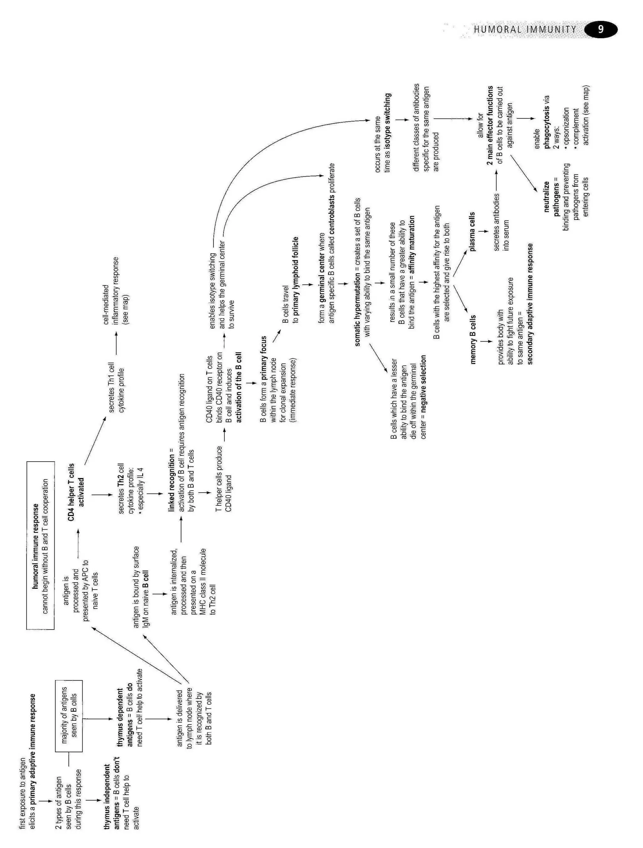 Medmaps pathophysiology | PDF