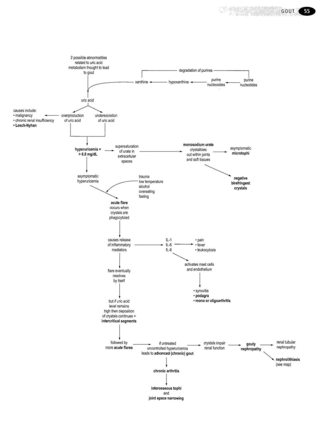 Medmaps pathophysiology | PDF
