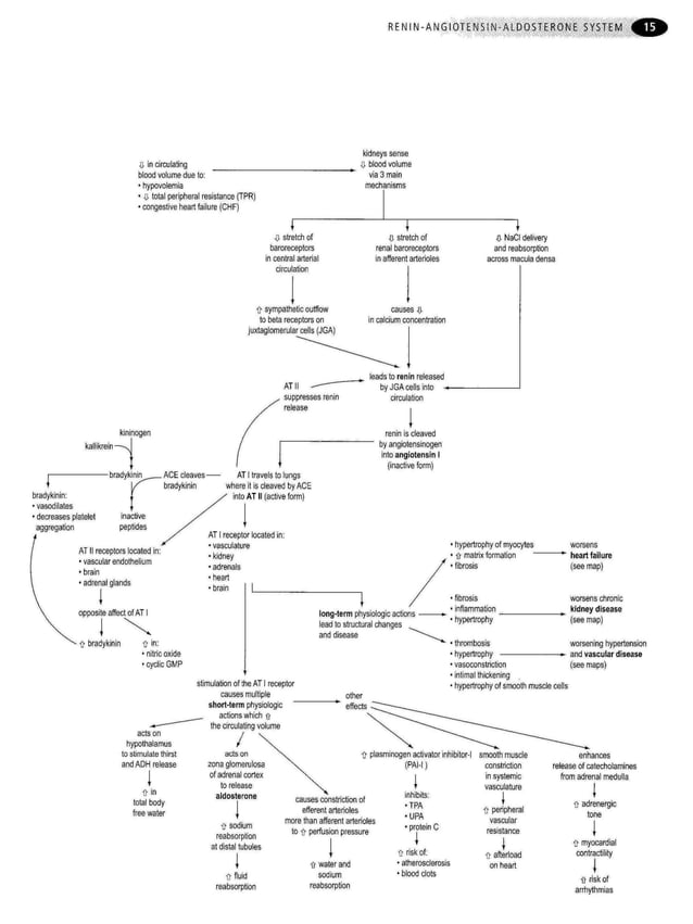 Medmaps pathophysiology | PDF
