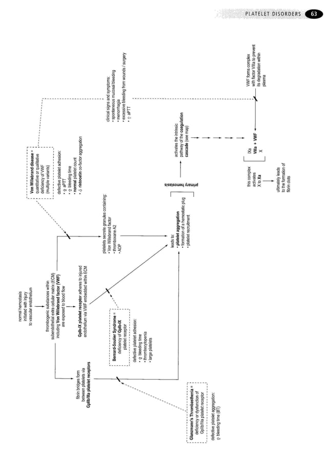 Medmaps pathophysiology | PDF