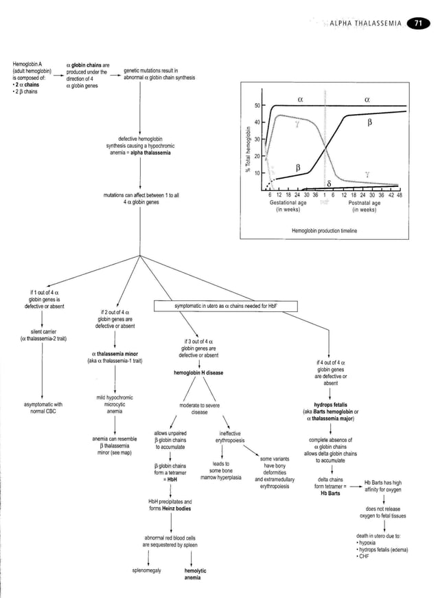 Medmaps pathophysiology | PDF