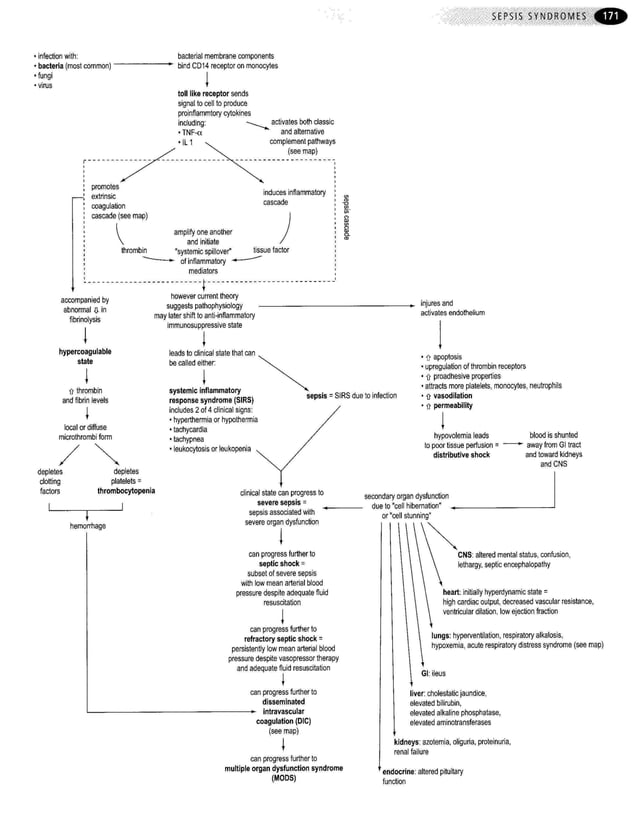 Medmaps pathophysiology | PDF