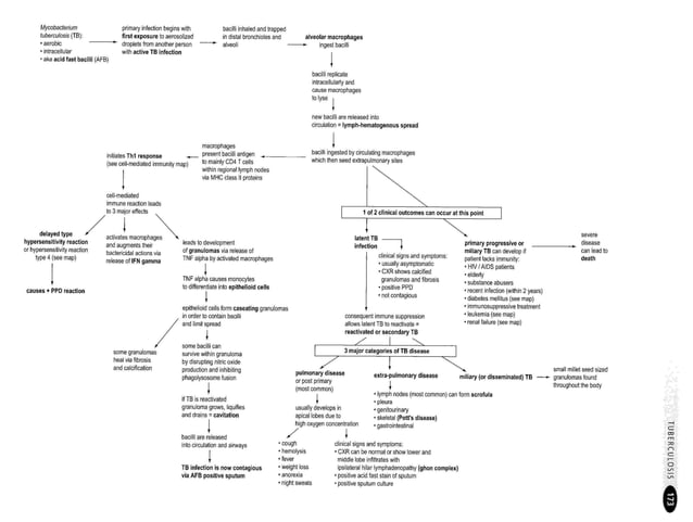 Medmaps pathophysiology | PDF