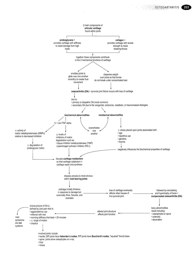 Medmaps pathophysiology | PDF