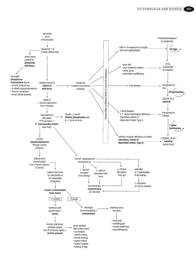 Medmaps pathophysiology | PDF