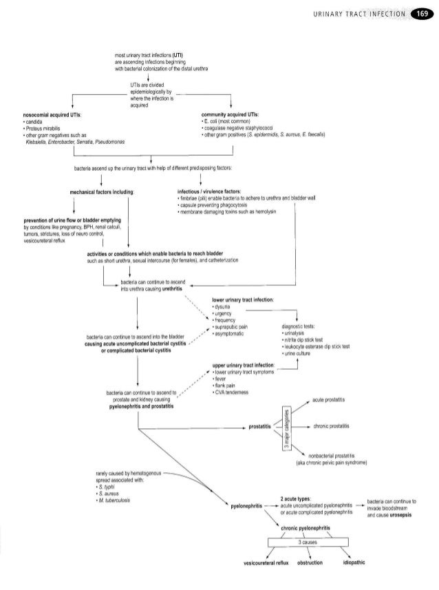 Medmaps pathophysiology