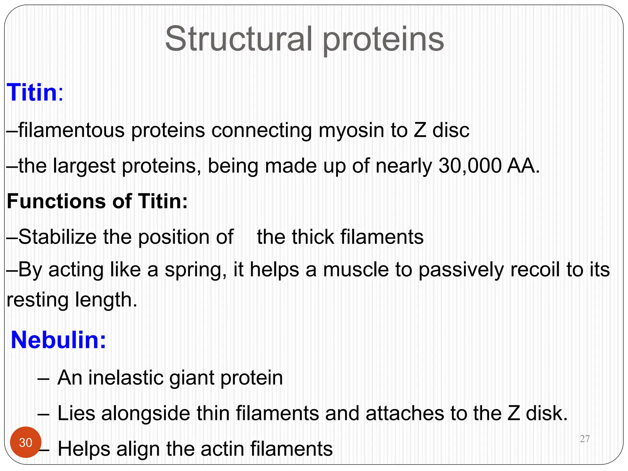Med Muscle physiology merged.ppt HAWASSA | PPT