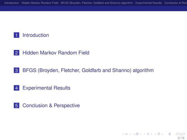 Hidden Markov Random Field model and BFGS algorithm for Brain Image Segmentation | PDF | Physics ...
