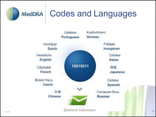 MedDRA | PPTX | Digestive Disorders | Diseases and Conditions