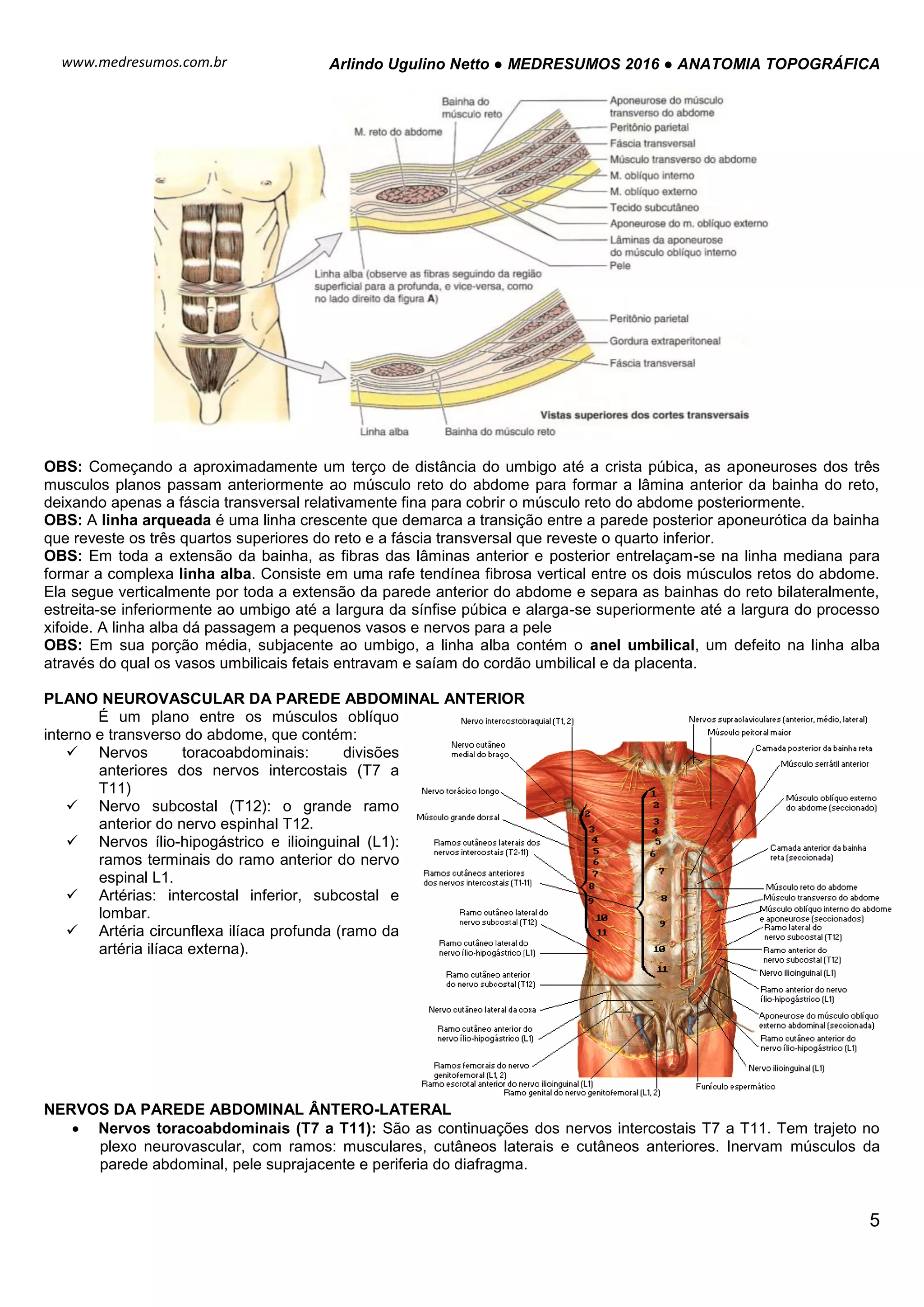 Medresumos 2016 anatomia topográfica - abdome | PDF