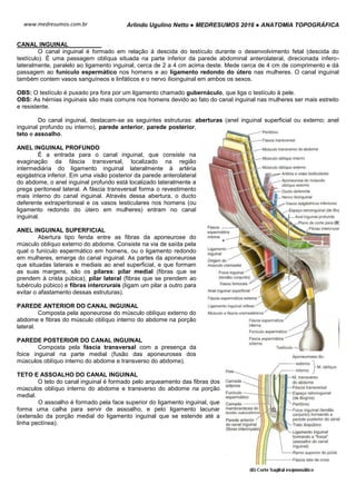 Medresumos 2016 anatomia topográfica - abdome | PDF