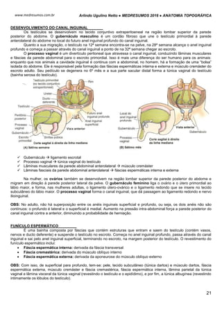 Medresumos 2016 anatomia topográfica - abdome | PDF