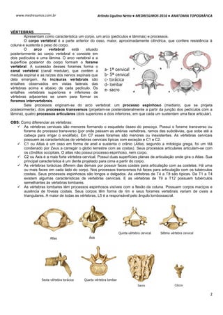Medresumos 2016 anatomia topográfica - dorso | PDF