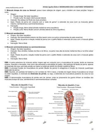 Medresumos 2016 anatomia topográfica - membro inferior | PDF