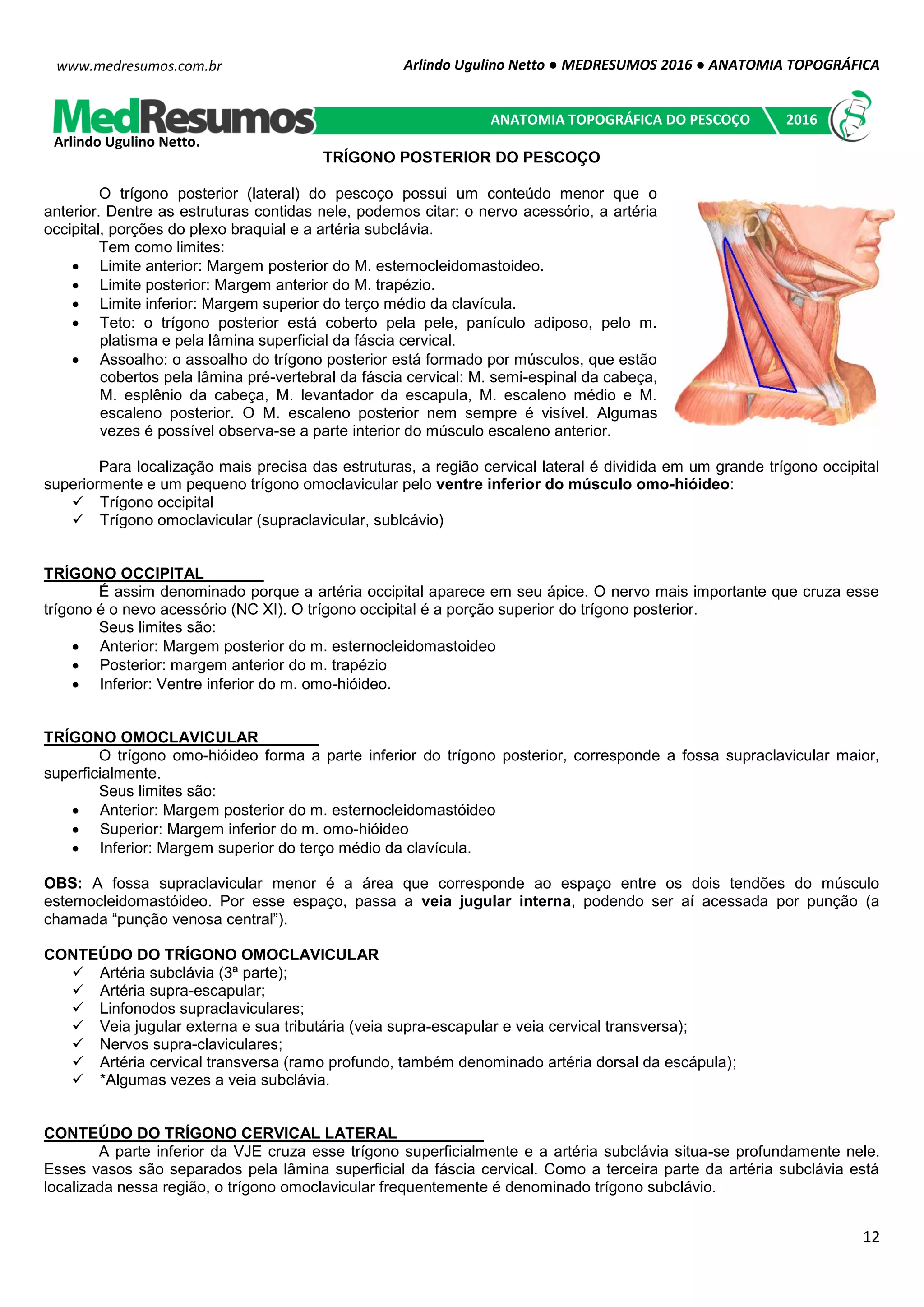 Medresumos 2016 anatomia topográfica - pescoço | PDF