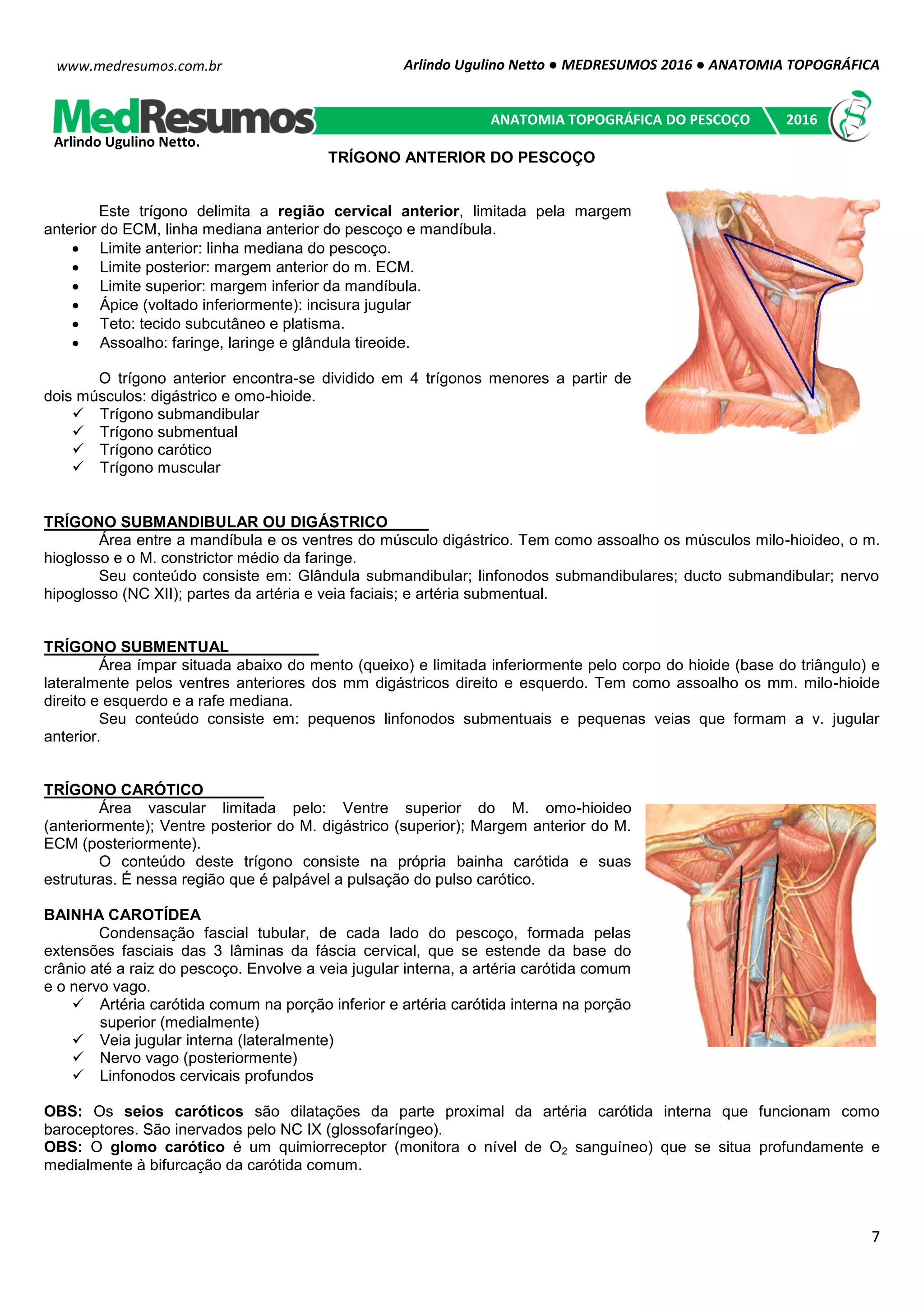 Medresumos 2016 anatomia topográfica - pescoço | PDF