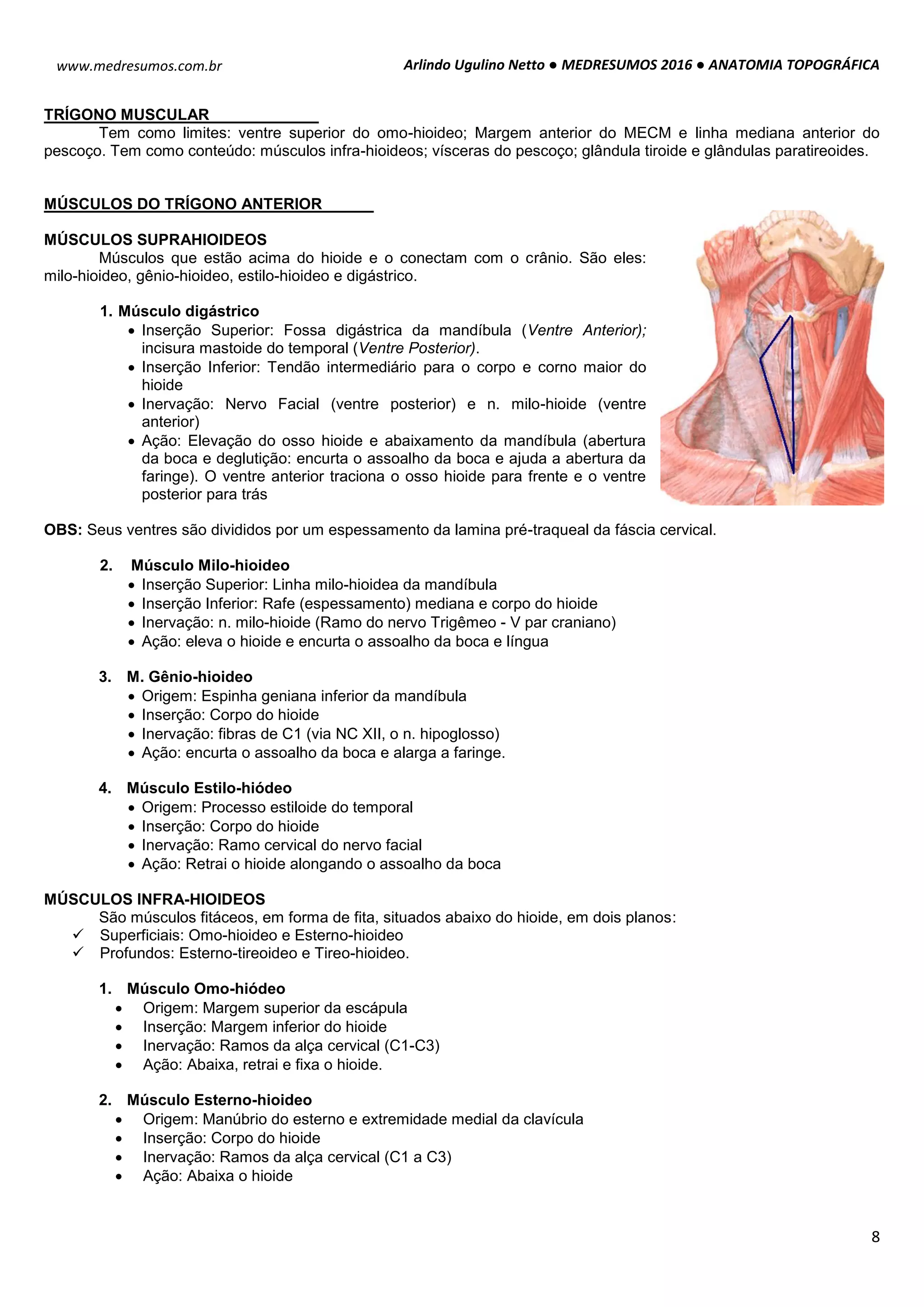 Medresumos 2016 anatomia topográfica - pescoço | PDF