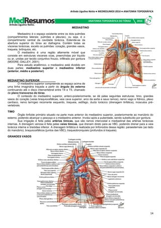 Medresumos 2016 anatomia topográfica - tórax | PDF