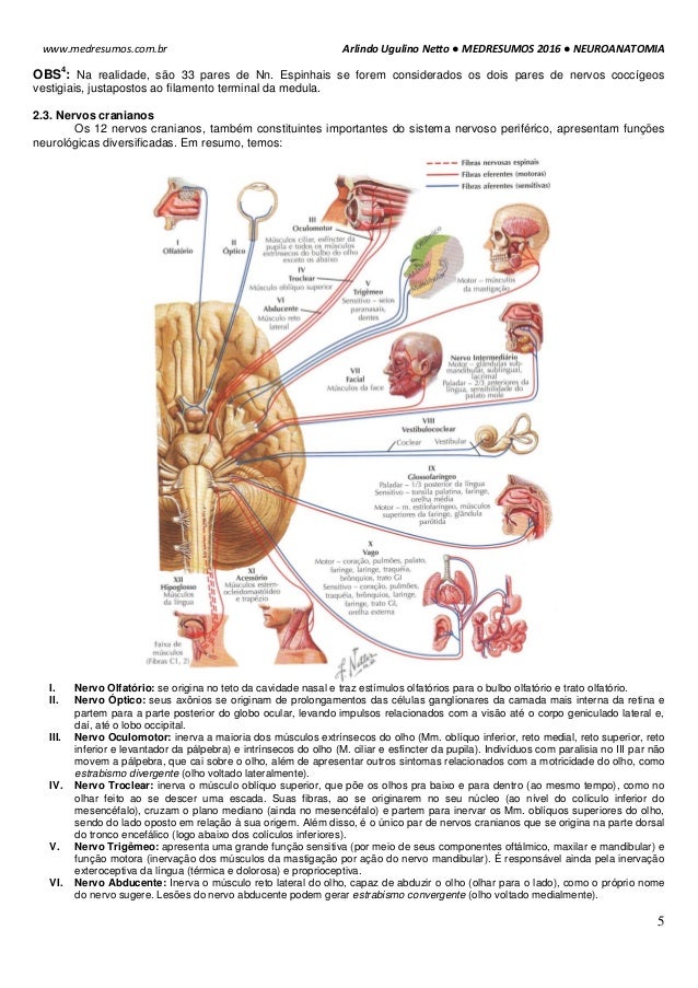 Medresumos 2016 Neuroanatomia 01 Introdução à Neuroanatomia