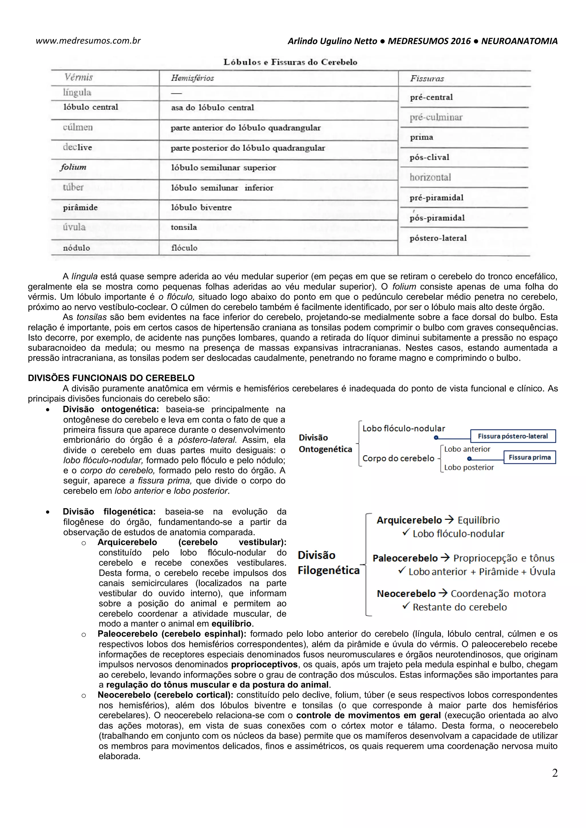 Medresumos 2016 Neuroanatomia 09 Estrutura E Funções Do Cerebelo Pdf