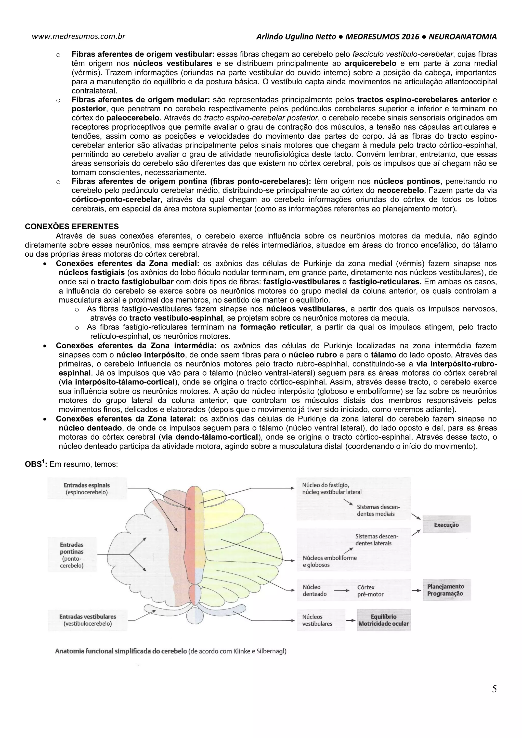 Medresumos 2016 Neuroanatomia 09 Estrutura E Funções Do Cerebelo Pdf