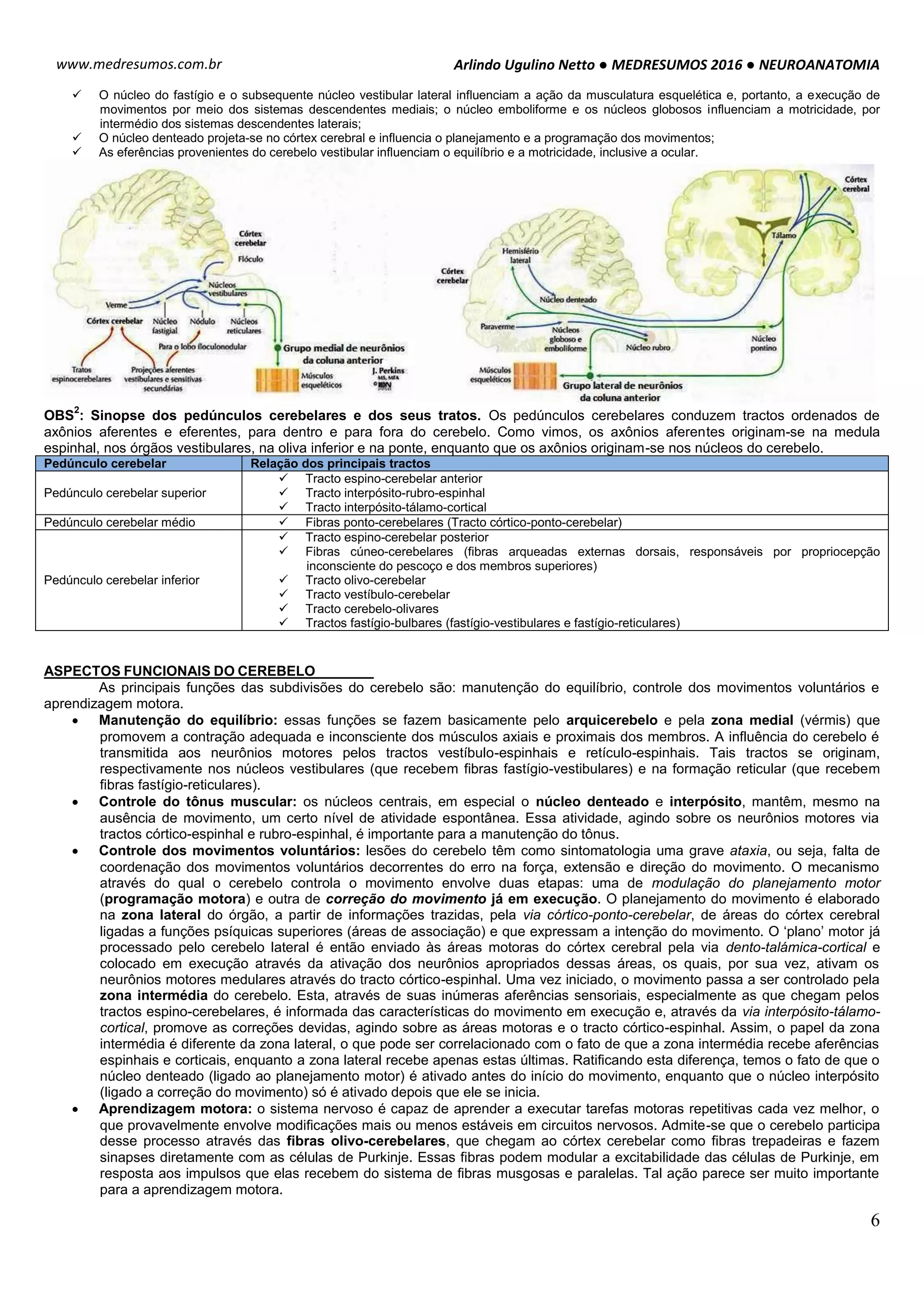 Medresumos 2016 Neuroanatomia 09 Estrutura E Funções Do Cerebelo Pdf