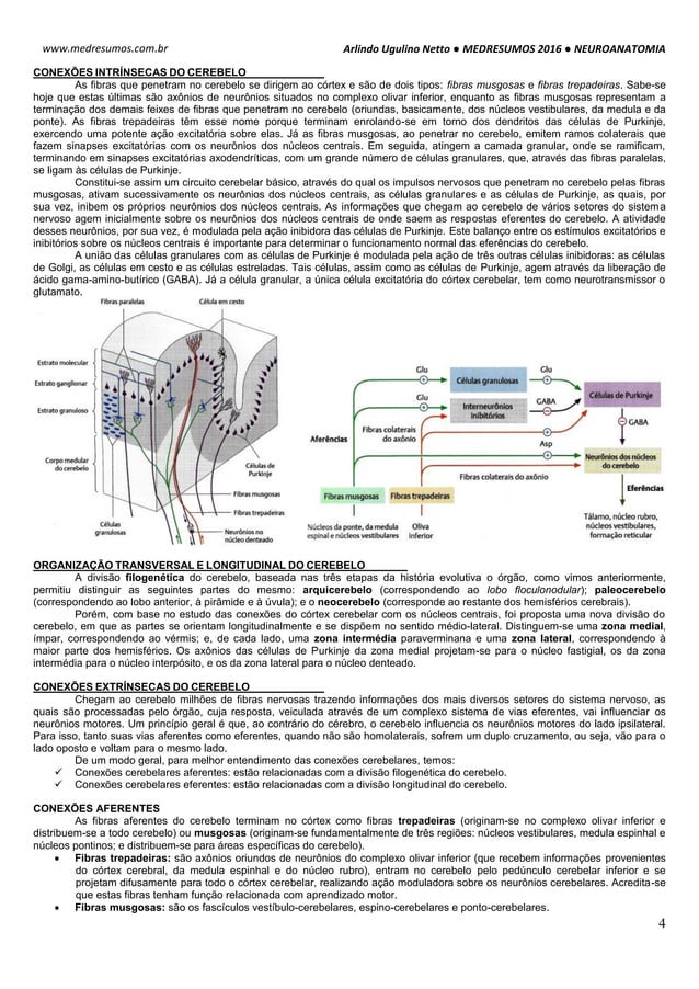 Medresumos 2016 Neuroanatomia 09 Estrutura E Funções Do Cerebelo Pdf