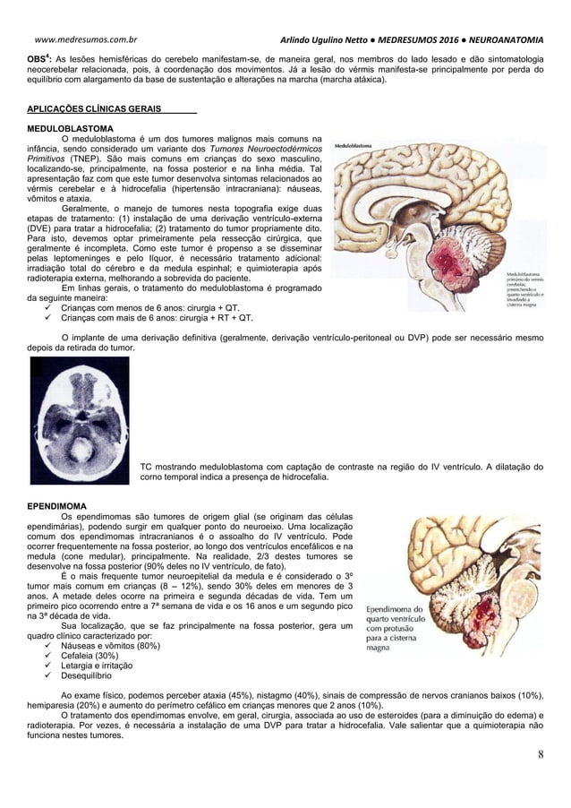 Medresumos 2016 Neuroanatomia 09 Estrutura E Funções Do Cerebelo Pdf