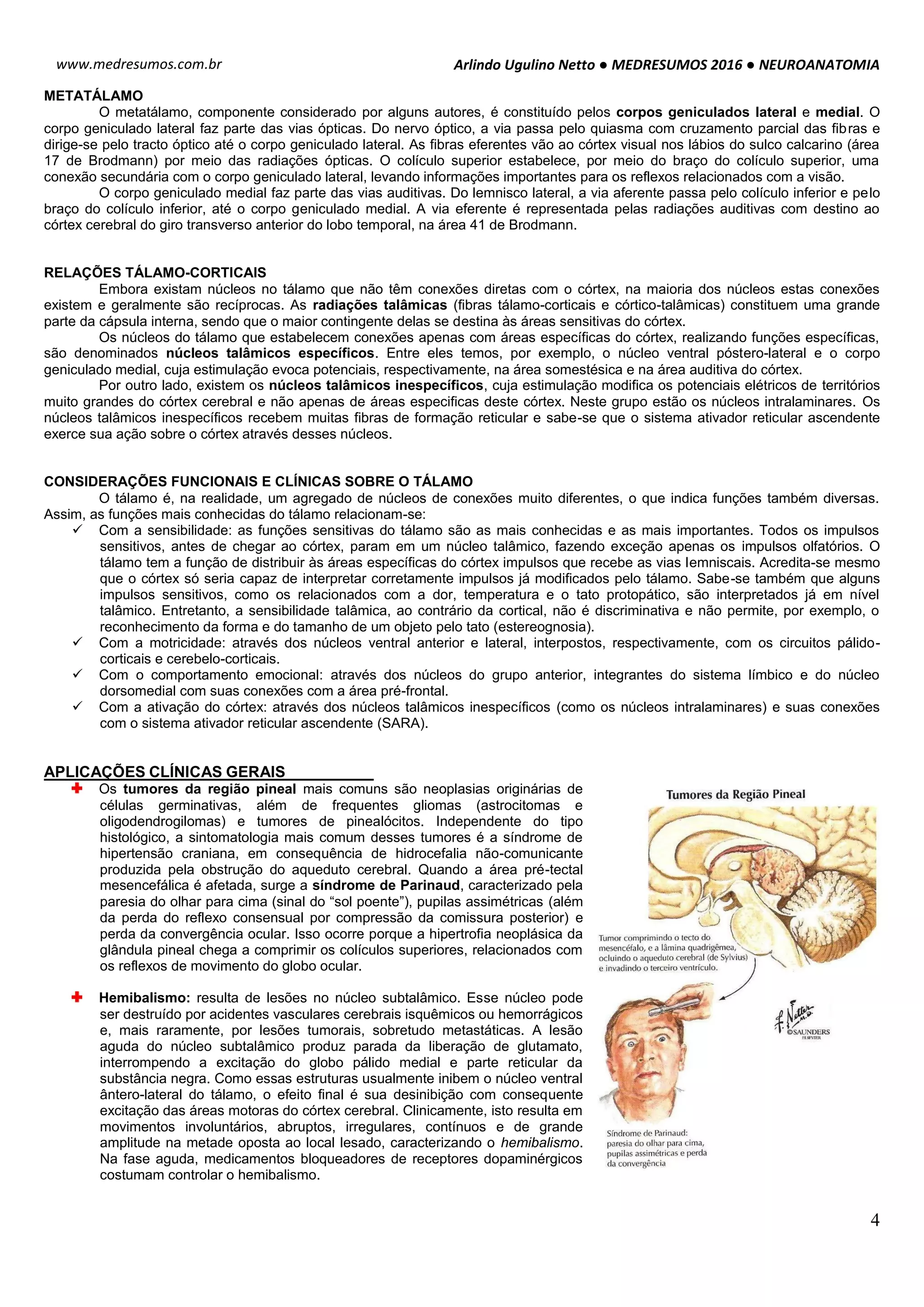 Medresumos 2016 Neuroanatomia 11 Subtálamo Epitálamo E Tálamo Pdf
