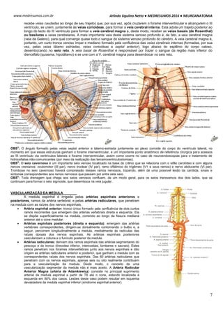 Medresumos 2016 neuroanatomia 16 - vascularização do sistema nervoso ...