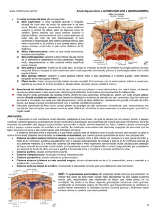 Medresumos 2016 neuroanatomia 16 - vascularização do sistema nervoso ...