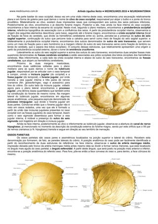Medresumos 2016 neuroanatomia 22 - ossos do crânio | PDF